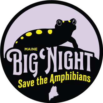 What is a Big Night? – Maine Big Night: Amphibian Migration Monitoring