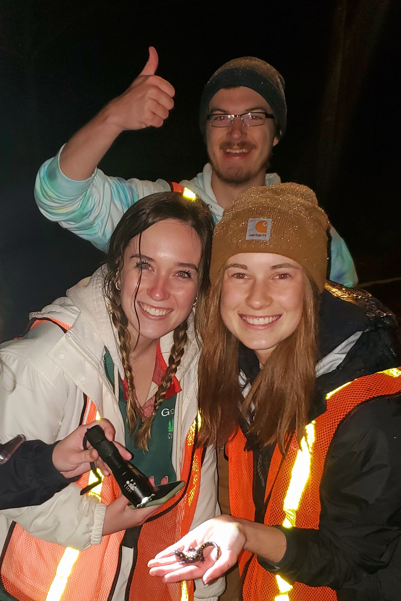 Get Involved – Maine Big Night: Amphibian Migration Monitoring